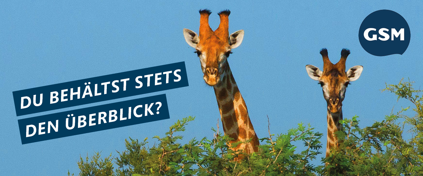 This job is not active anymore.