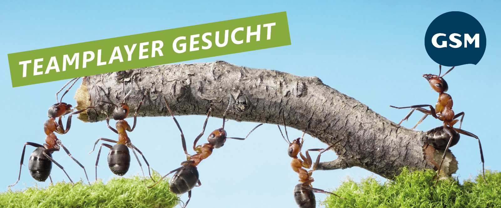 This job is not active anymore.